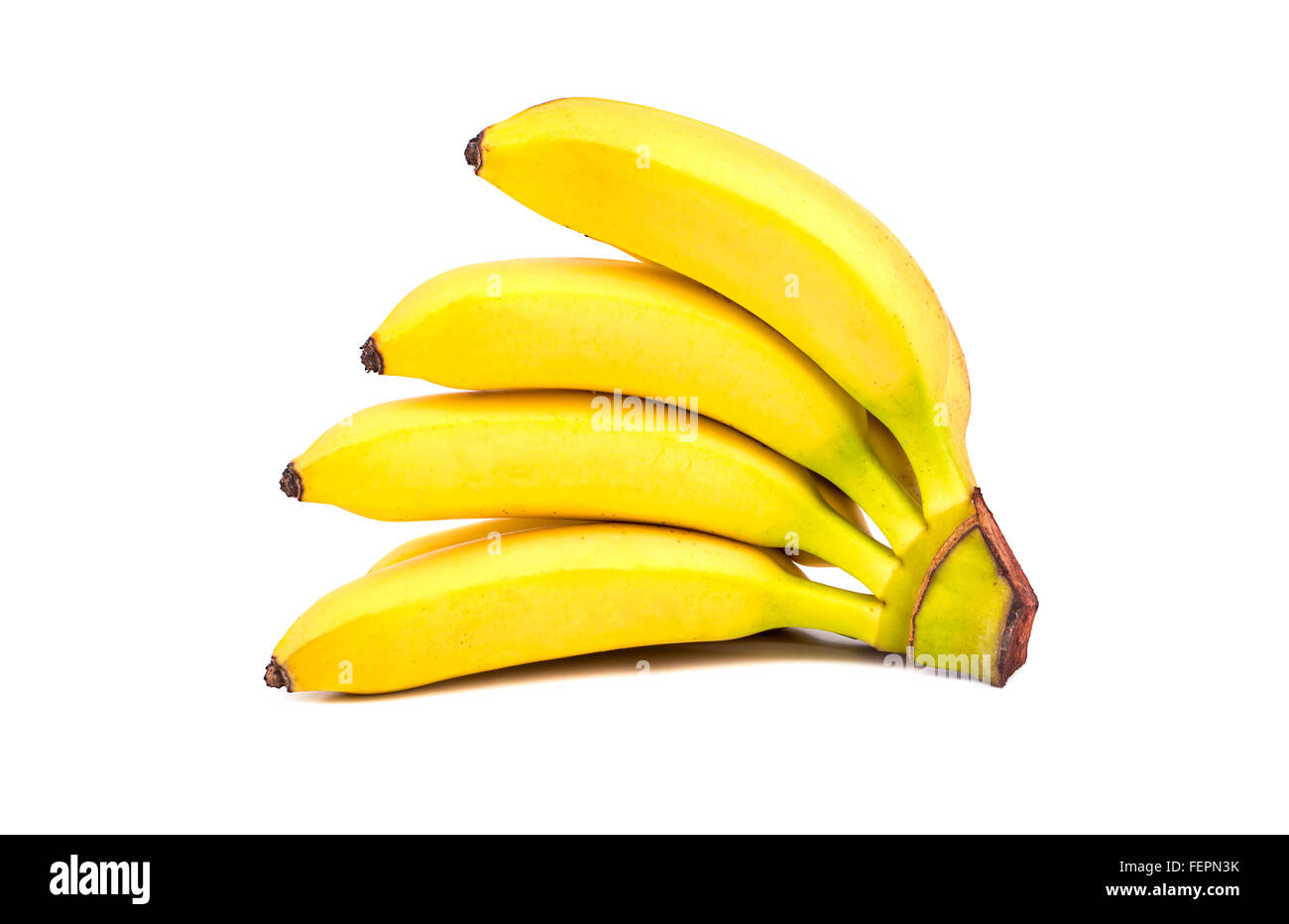 Bunch fresh bananas baby (mini) on a white background Stock Photo - Alamy