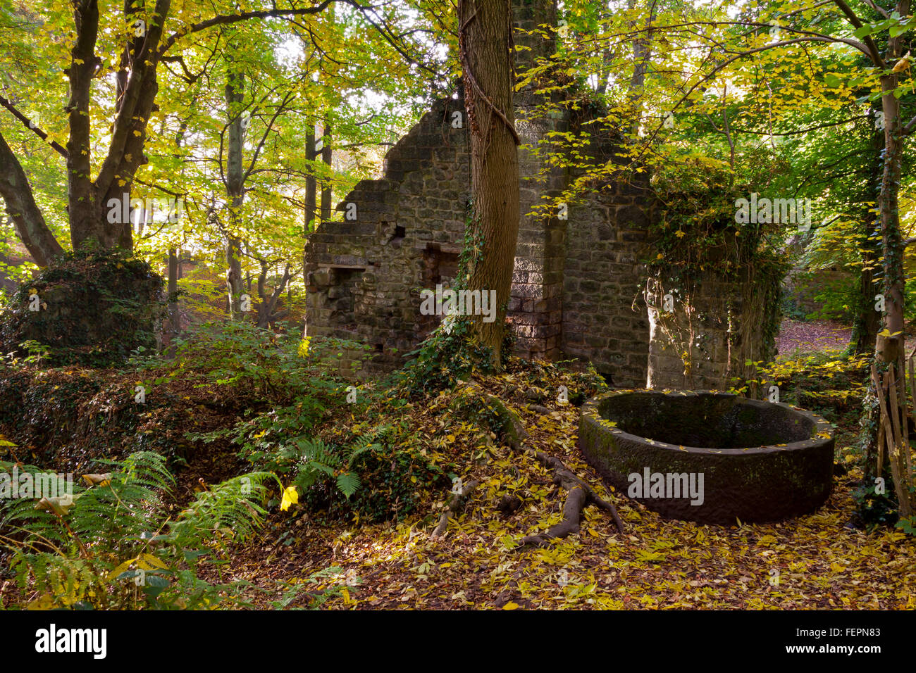 Old mill at Lumsdale near Matlock in Derbyshire Peak District England ...
