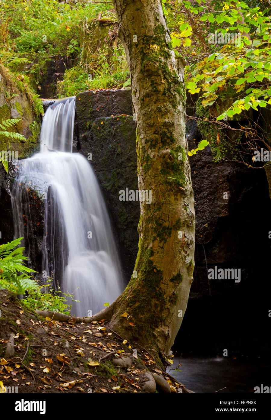 Waterfall at Lumsdale near Matlock in Derbyshire Peak District England ...