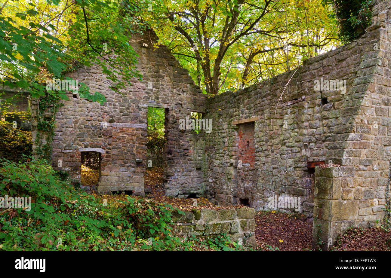 Ruins at Lumsdale near Matlock in Derbyshire Peak District England UK ...