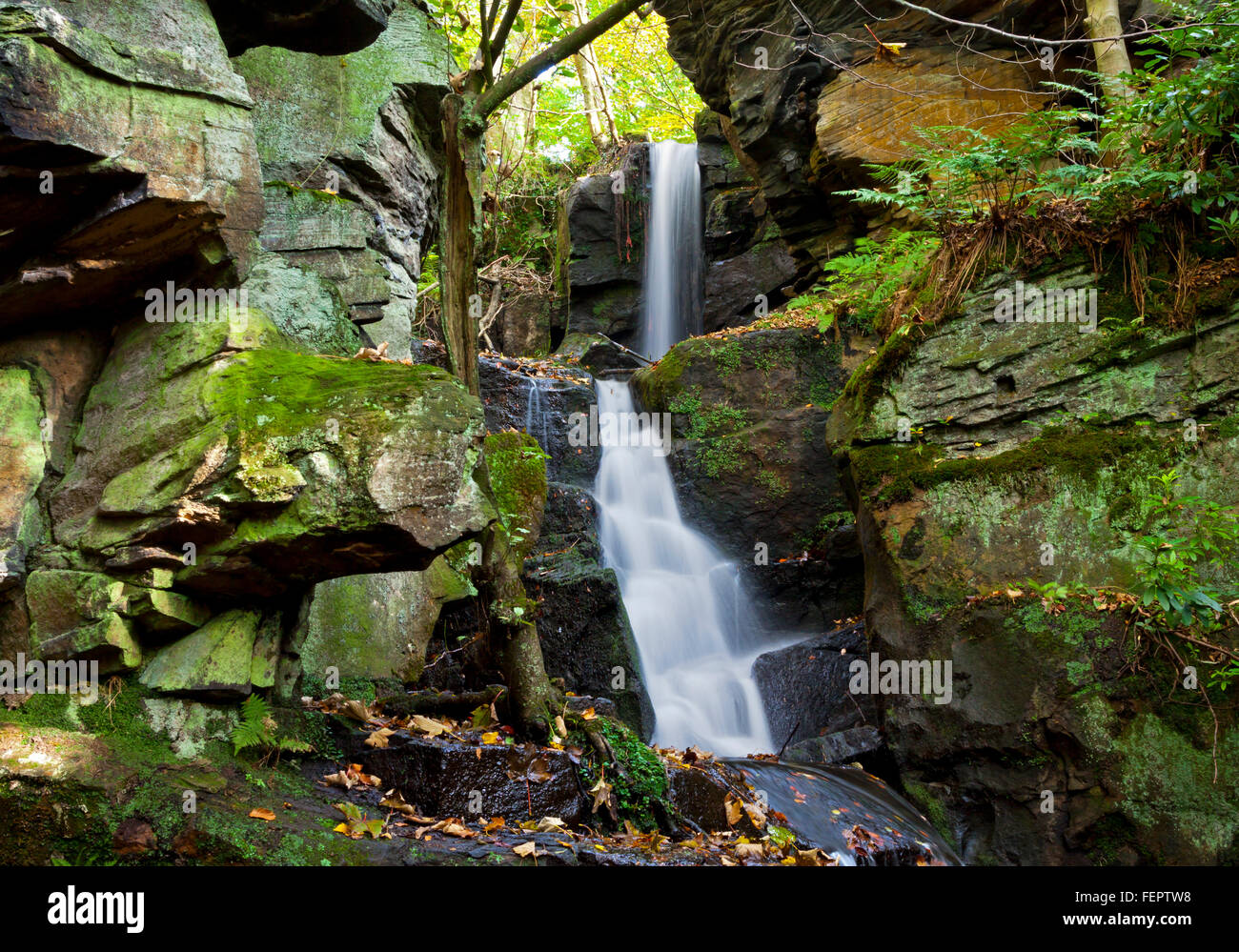Waterfall at Lumsdale near Matlock in Derbyshire Peak District England ...