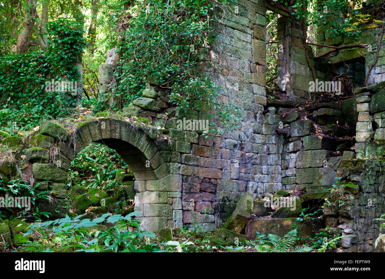 Ruins at Lumsdale near Matlock in Derbyshire Peak District England UK ...