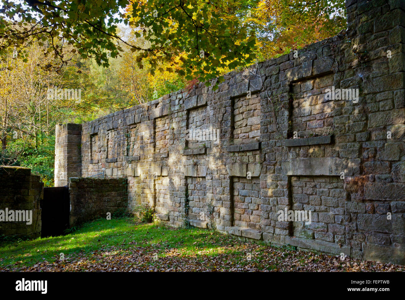 Stone wall Lumsdale near Matlock in Derbyshire Peak District England UK ...