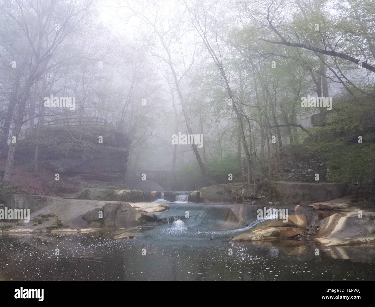 Stream Along Trees On Landscape Stock Photo - Alamy