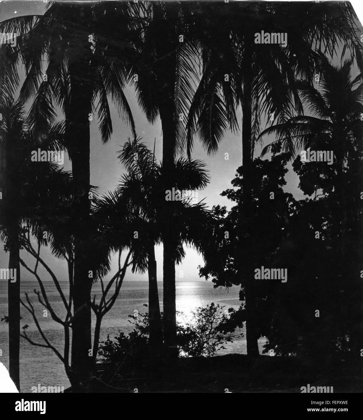 The Milton Blackstone Panama Scrapbook features photographs documenting ...