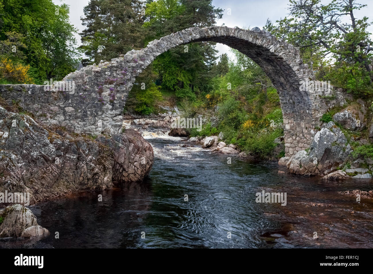 Packhorse bridge at Carrbridge Stock Photo - Alamy