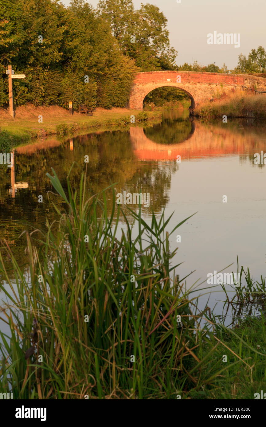 A bridge crosses the Llangollen Canal Next to the Montgomery branch ...