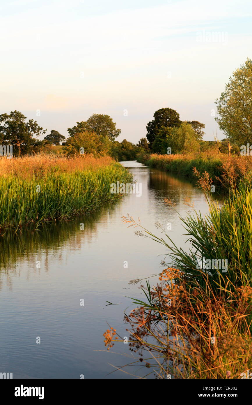 Encroach High Resolution Stock Photography and Images - Alamy