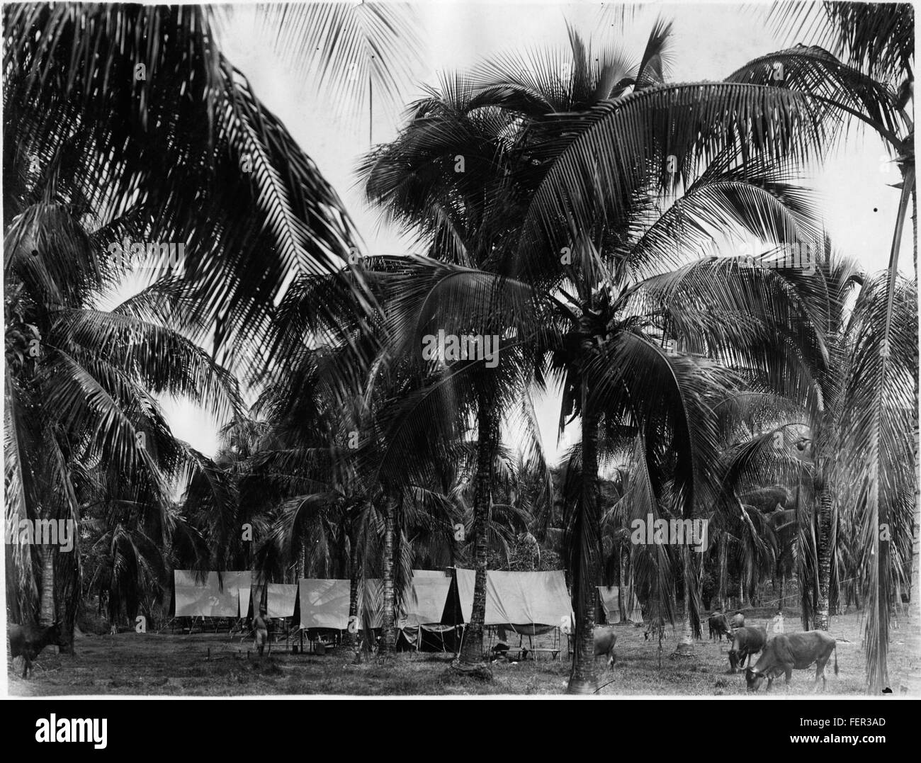 This image, part of Milton Blackstone’s Panama Scrapbook, documents ...