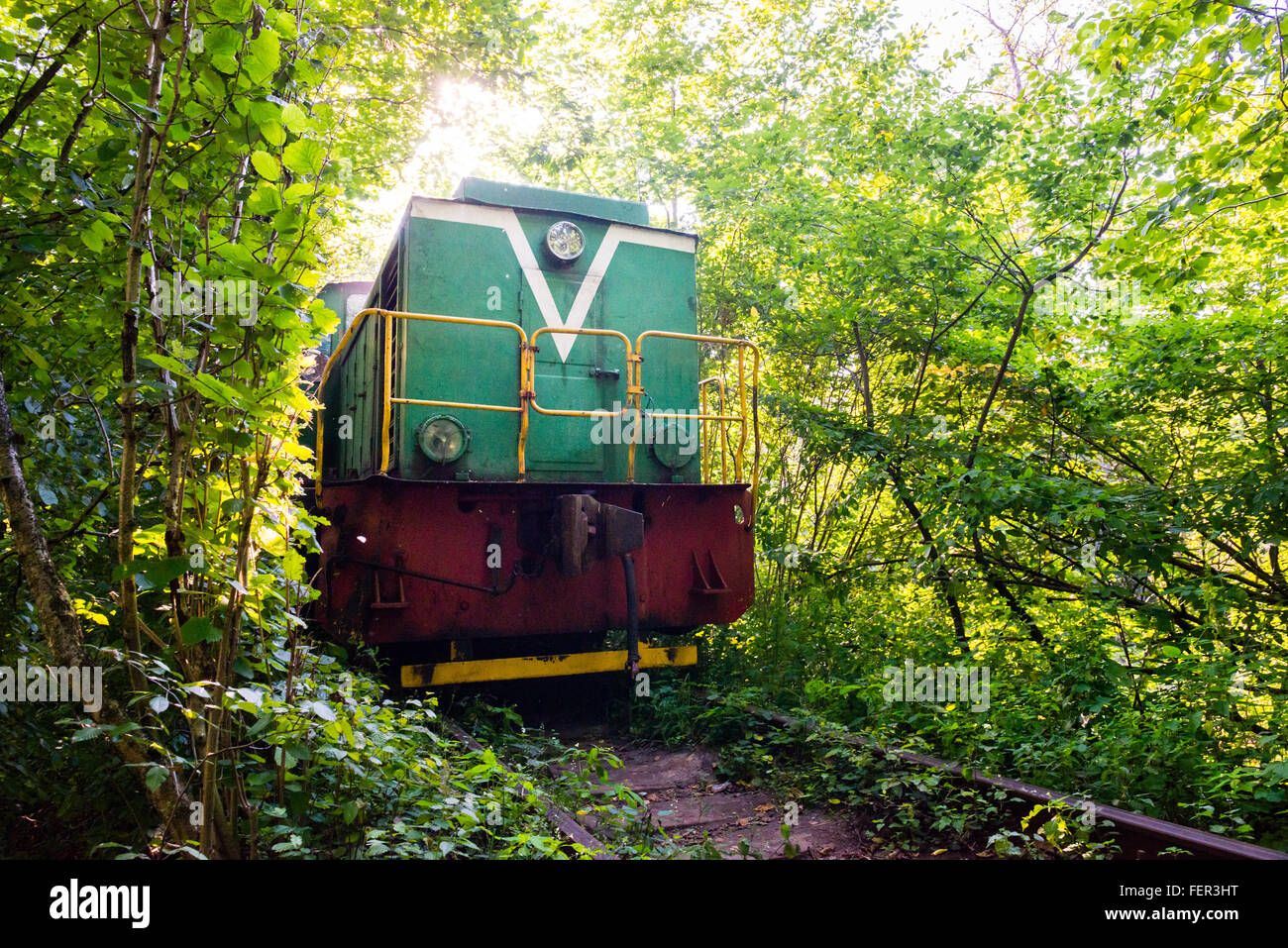 Cargo train carrying timber goes through a natural tunnel called ...