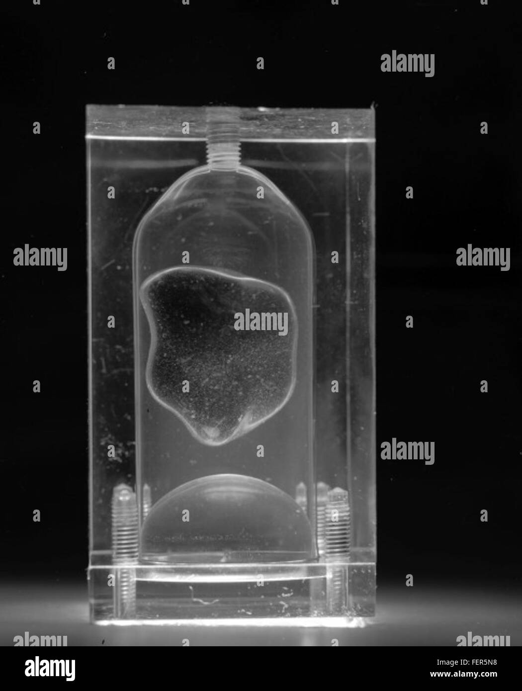 This image is part of the Atlas Negative Collection, which includes ...