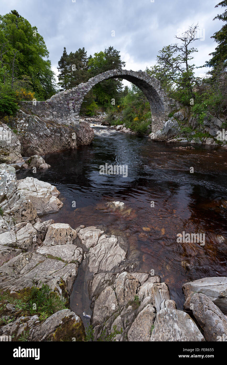 Carrbridge scotland hi-res stock photography and images - Alamy