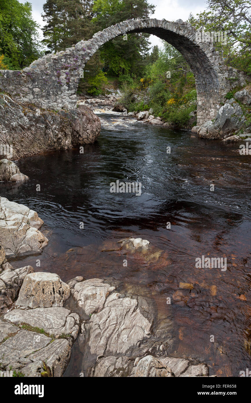 Packhorse bridge at Carrbridge Scotland Stock Photo - Alamy