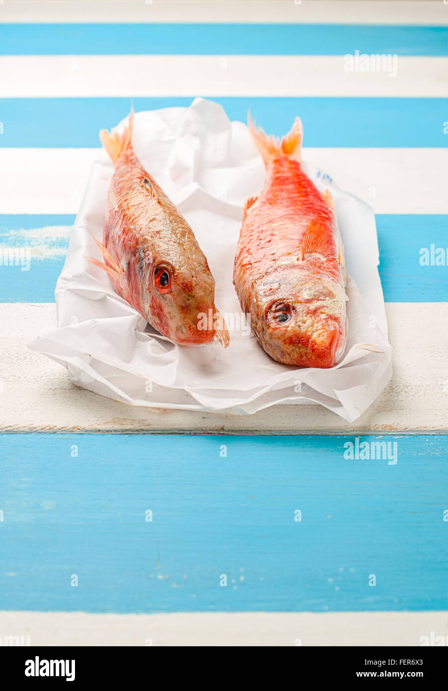 Mullus hi-res stock photography and images - Alamy