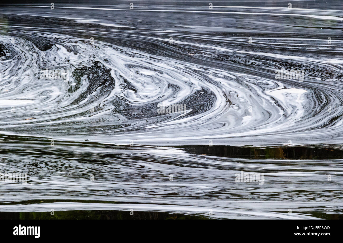 Abstract white curving foam swirls pattern on dark pond water Stock ...