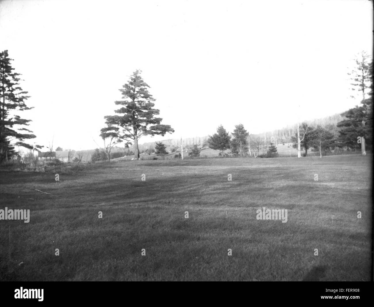 Trees in field near Black and White Stock Photos & Images - Alamy