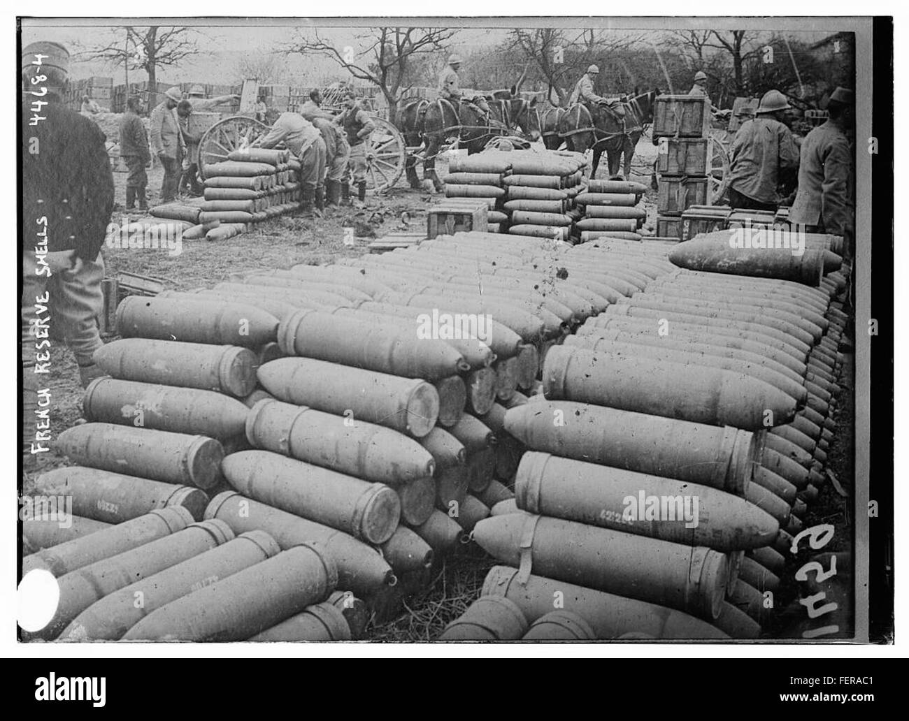 French reserve shells hi-res stock photography and images - Alamy