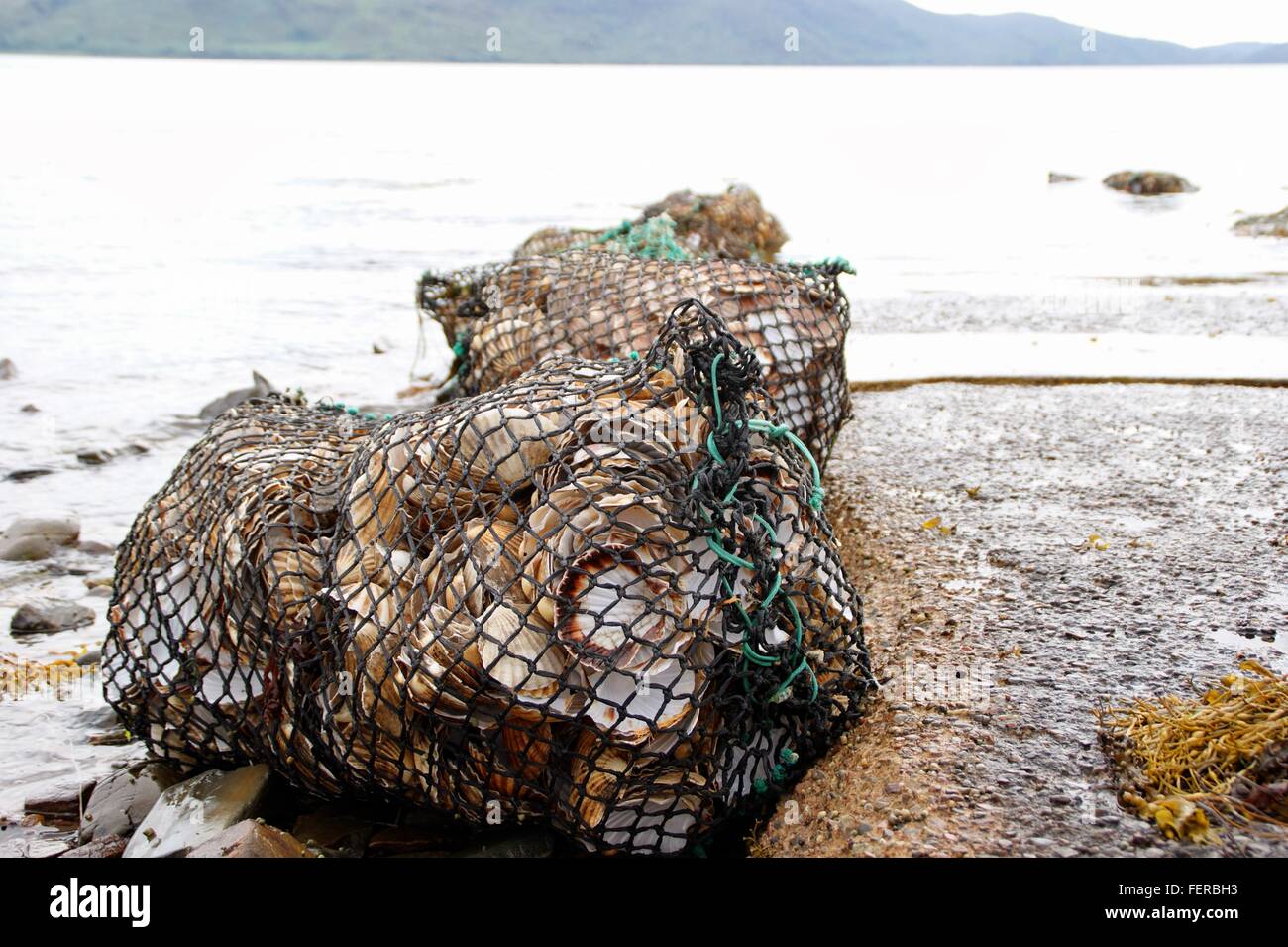 Nets in water hi-res stock photography and images - Alamy