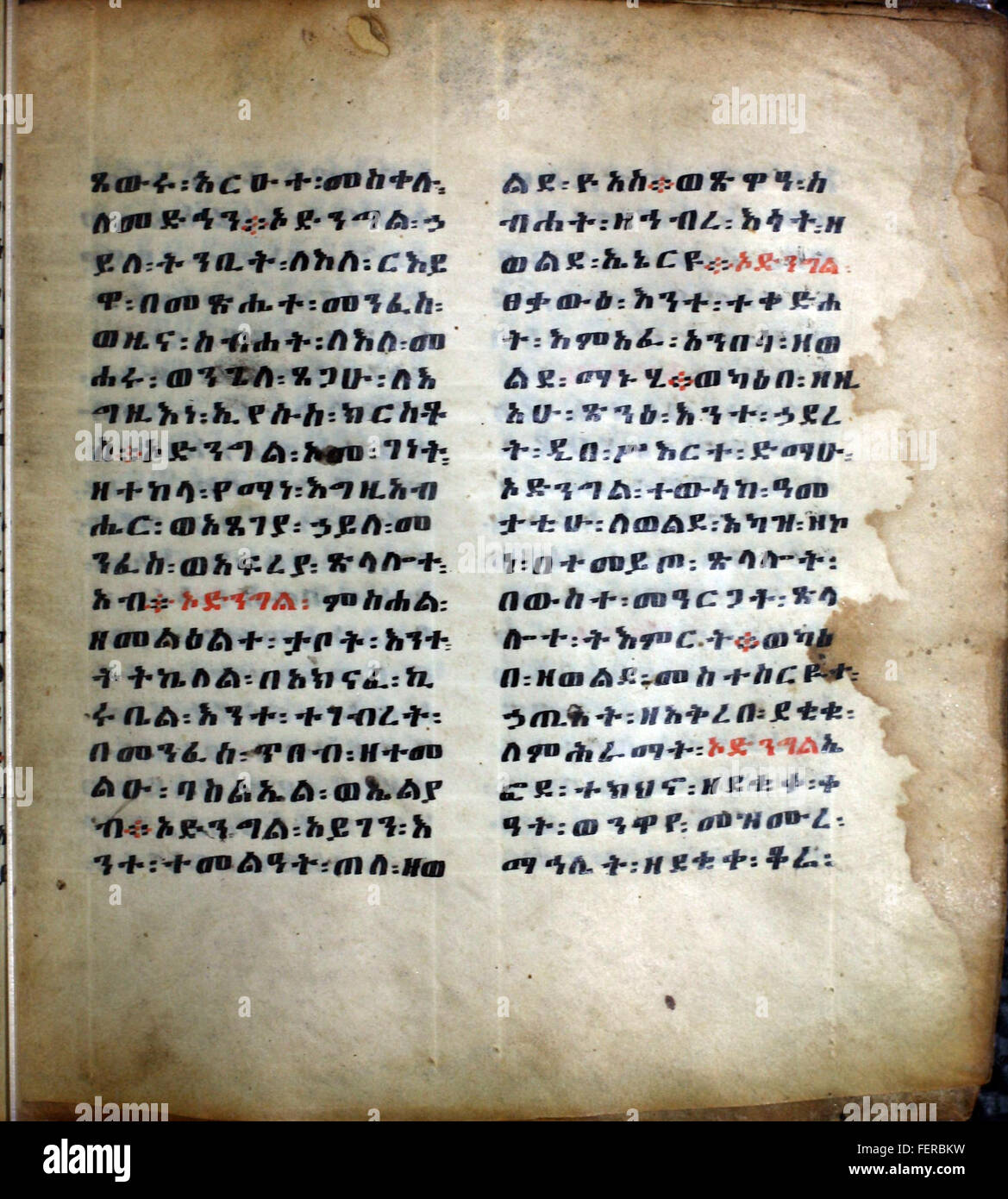 Ethiopian manuscript culture hi-res stock photography and images - Alamy