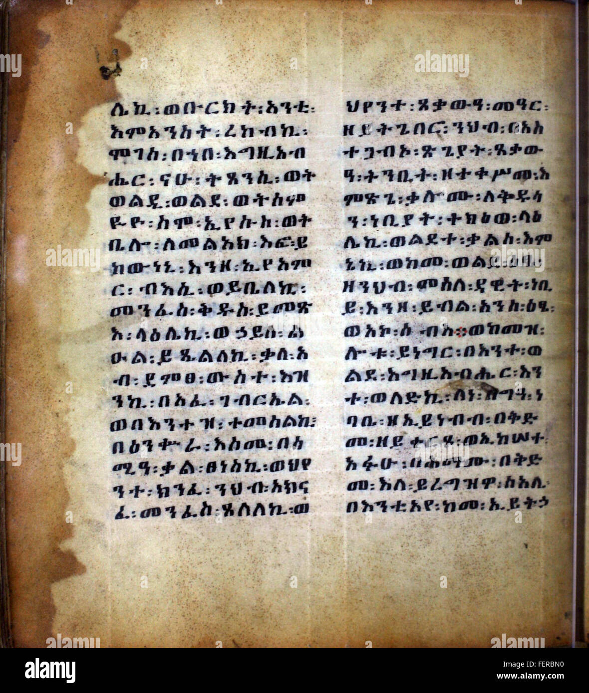 Ethiopian Prayer Book Page 184 Stock Photo - Alamy Ethiopian Prayer Book Page 184 Stock Photo - Alamy