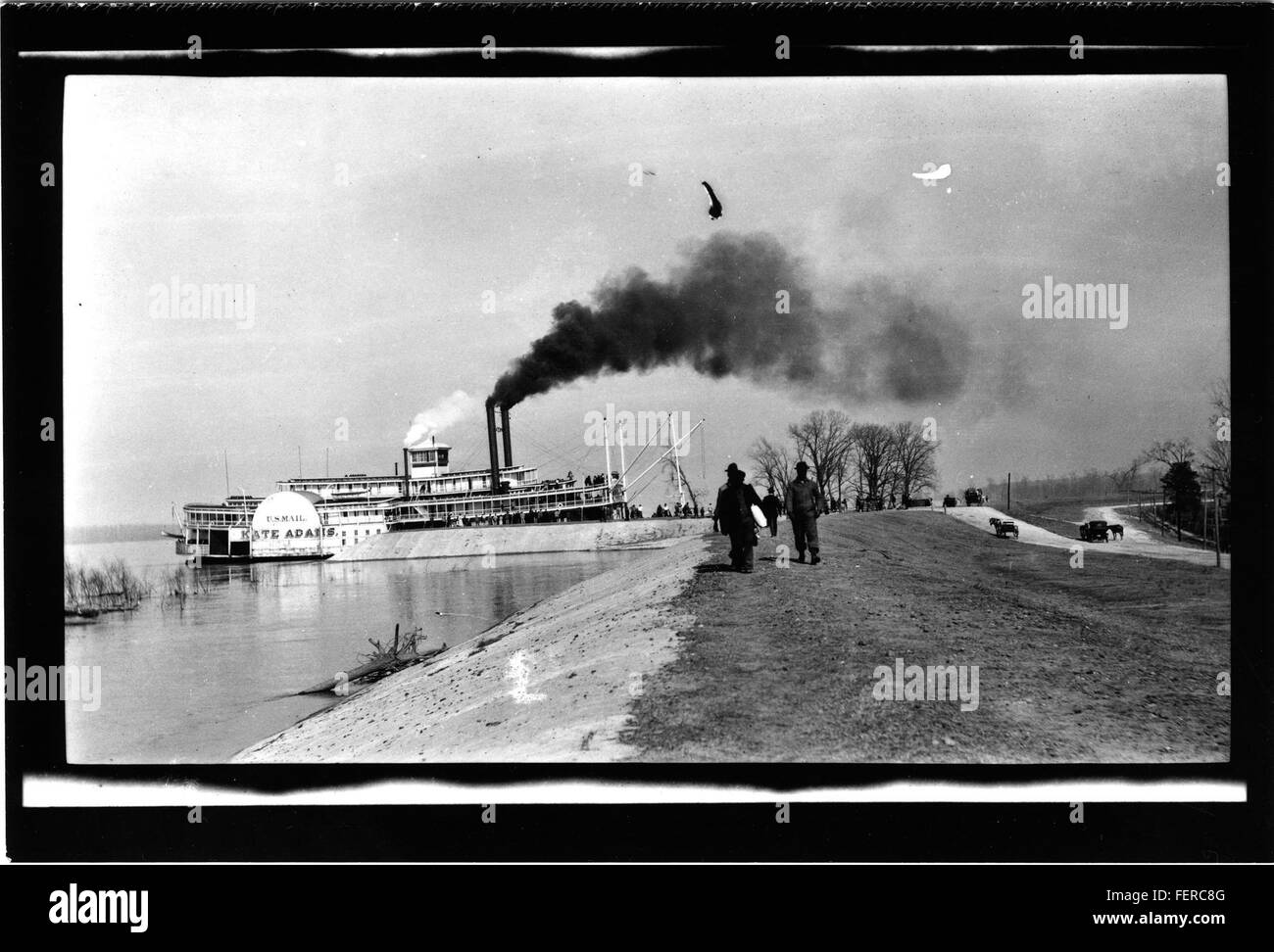 Kate adams hi-res stock photography and images - Alamy