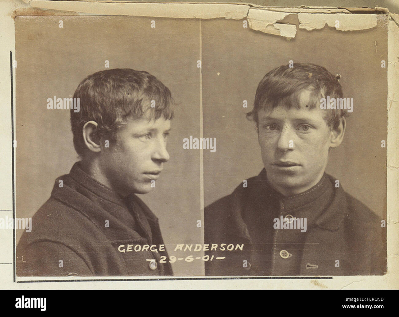 Tasmanian justice hi-res stock photography and images - Alamy