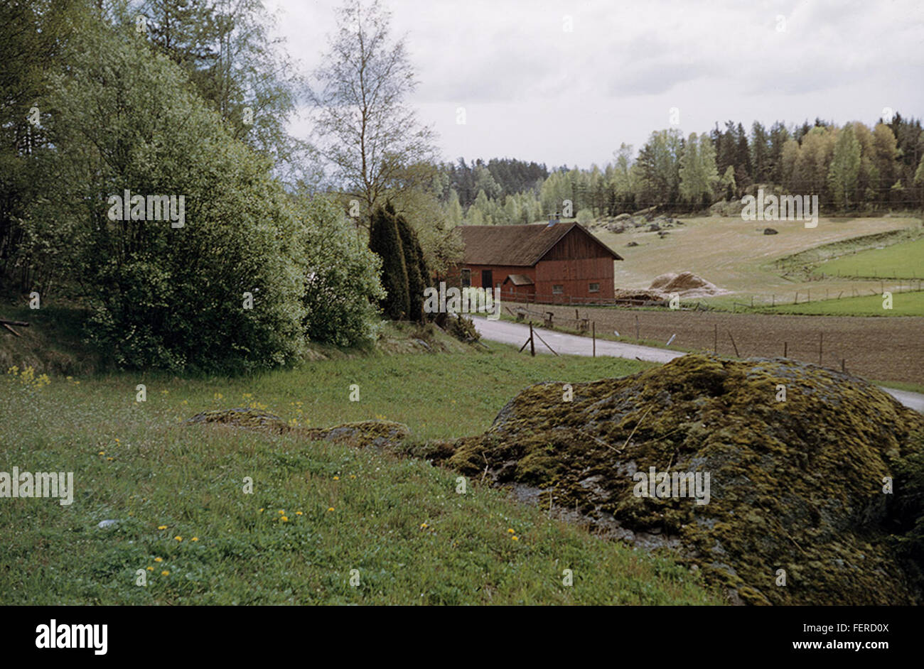 This image captures the scenic valley at Djupsjö in Åstergötland ...