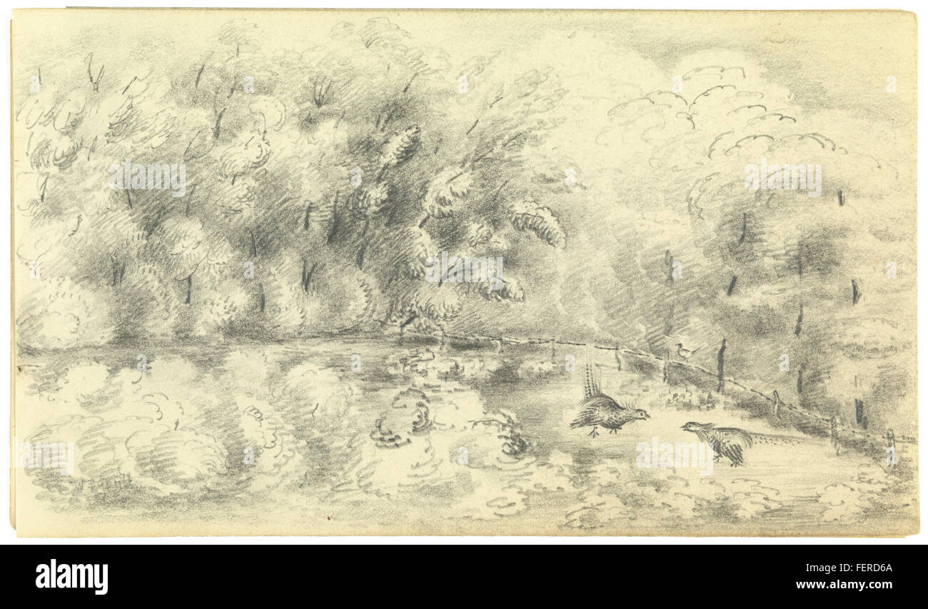 1835 birds hi-res stock photography and images - Alamy