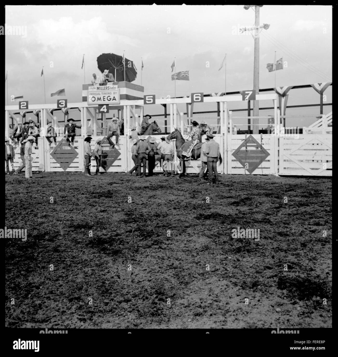 A photograph of the PNE Rodeo, capturing the excitement and energy of ...
