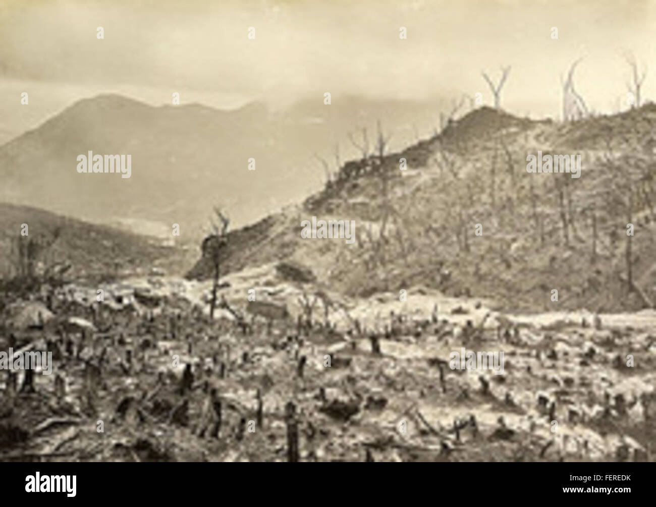 Mt lyell mine hi-res stock photography and images - Alamy