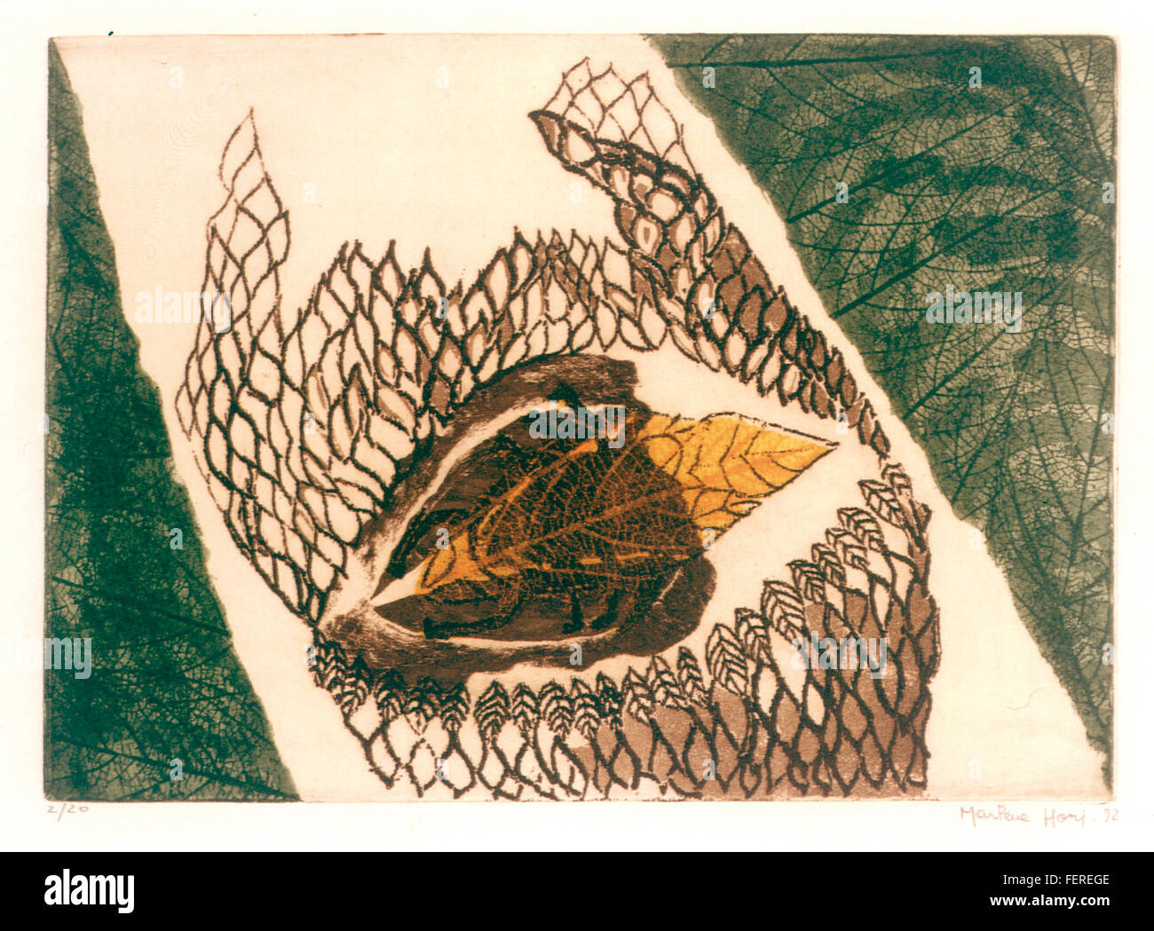 Aquatint process hi-res stock photography and images - Alamy