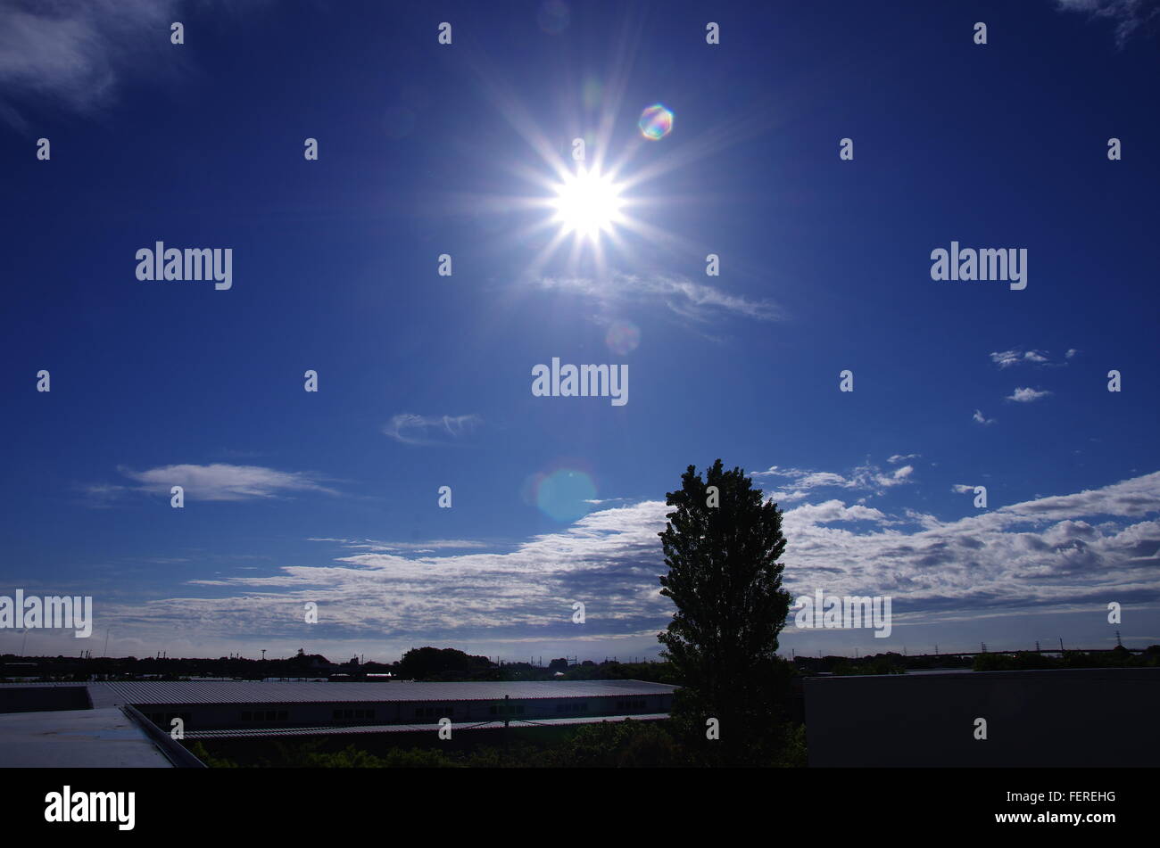 On the sun field hi-res stock photography and images - Alamy