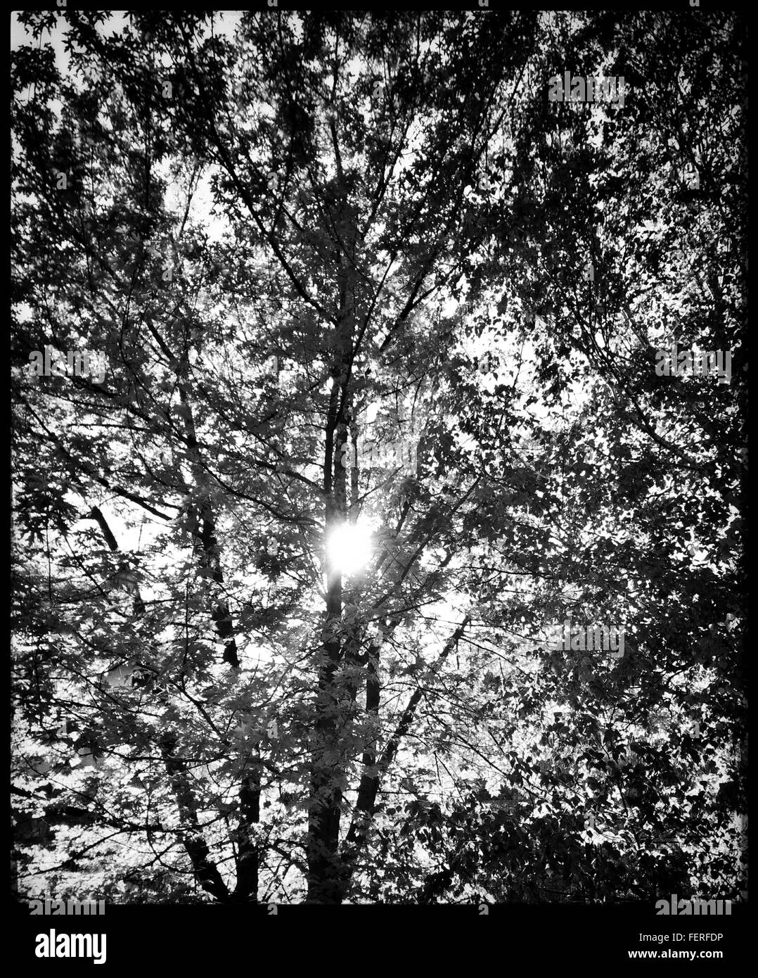 Shining production Black and White Stock Photos & Images - Alamy