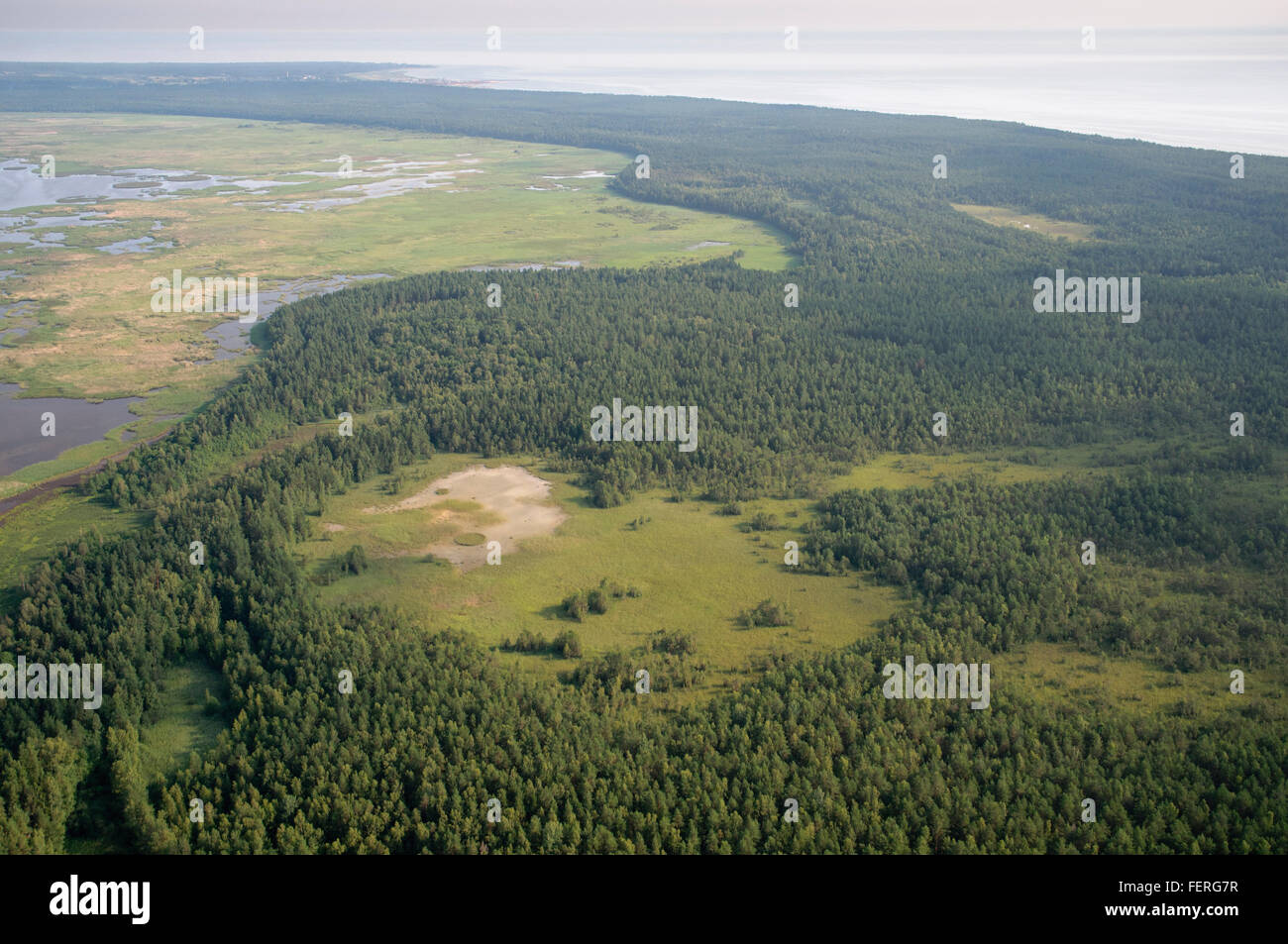 Aerial view of open rich fen in Lake Engure Nature park Stock Photo - Alamy