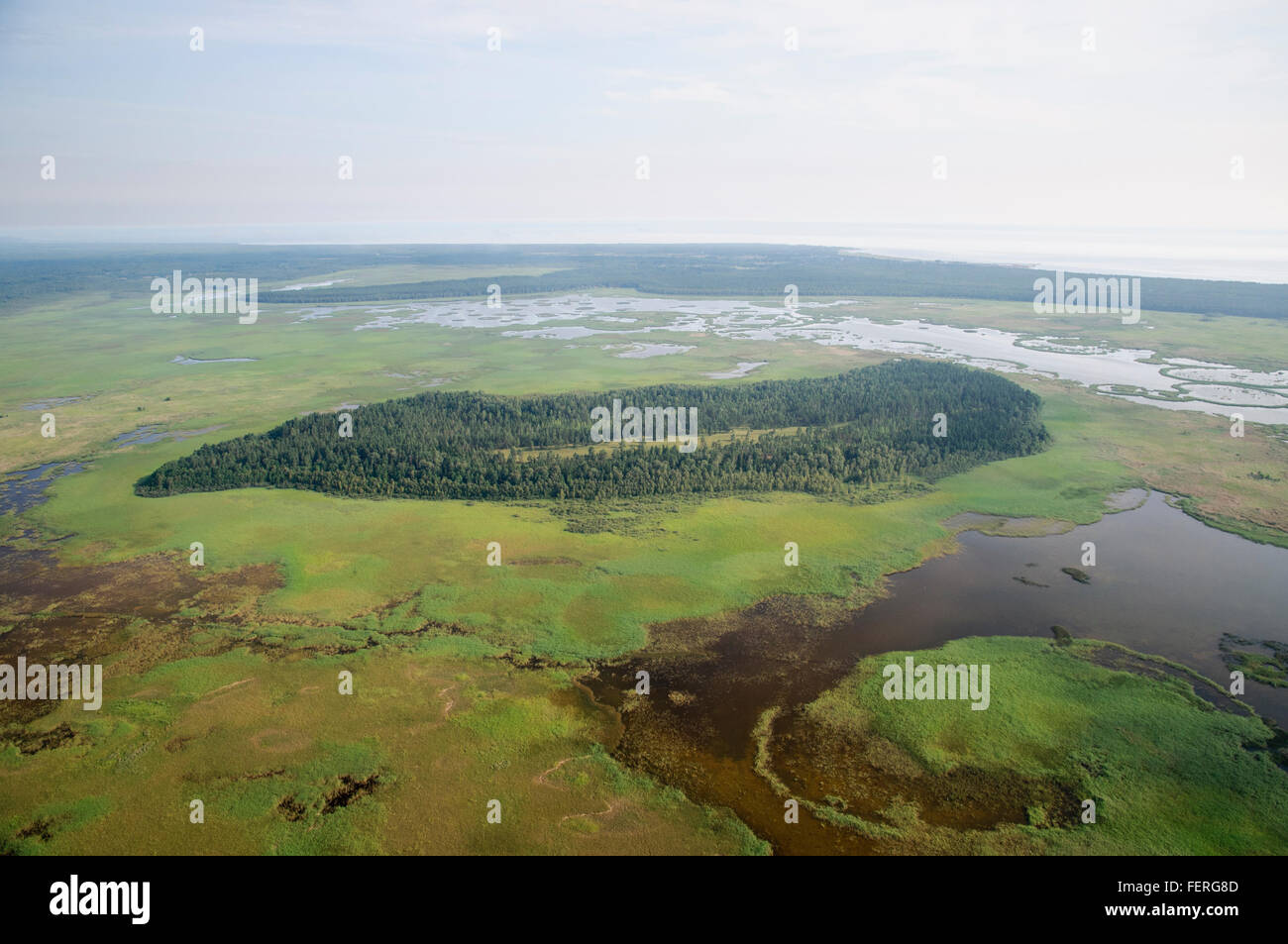 Wilderness of Lake Engure nature park: Lielā sala (the Big Island Stock ...
