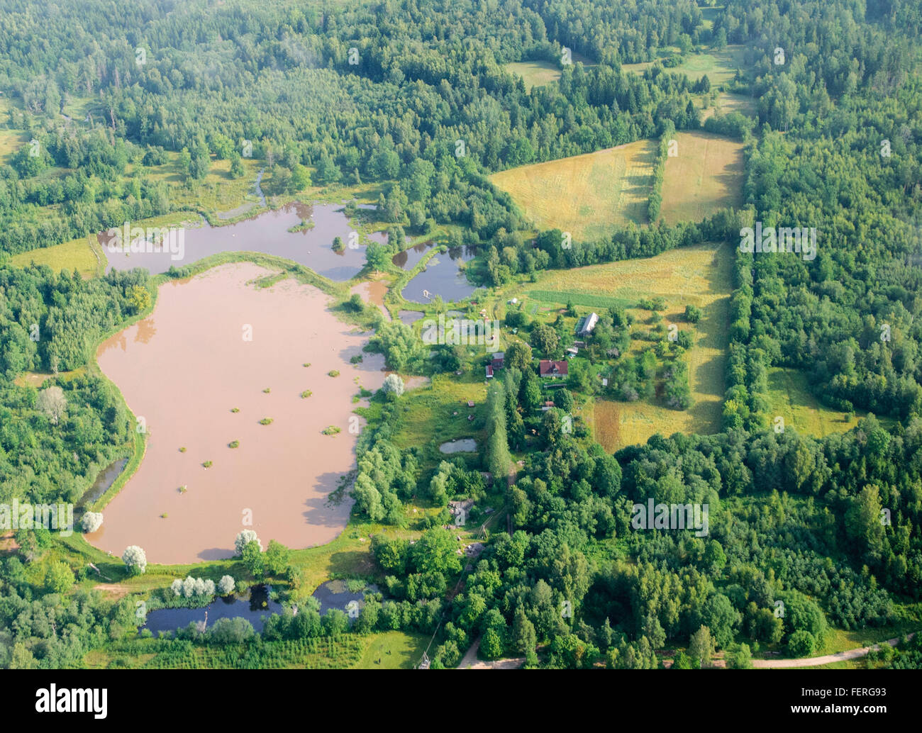 Diversity of habitats hi-res stock photography and images - Alamy