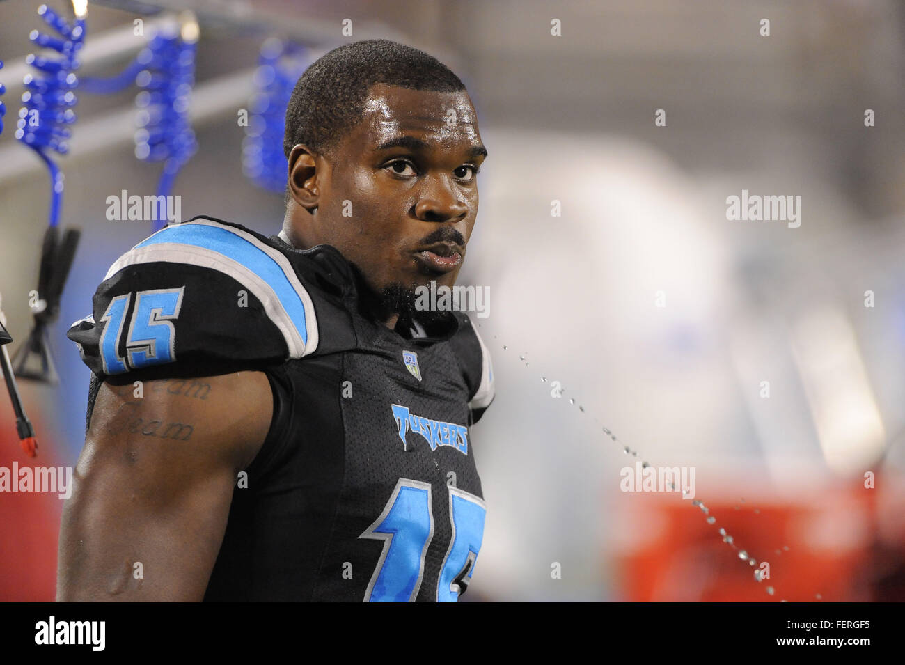 Orlando, Florida, USA. 11th Nov, 2010. Florida Tuskers wide receiver ...