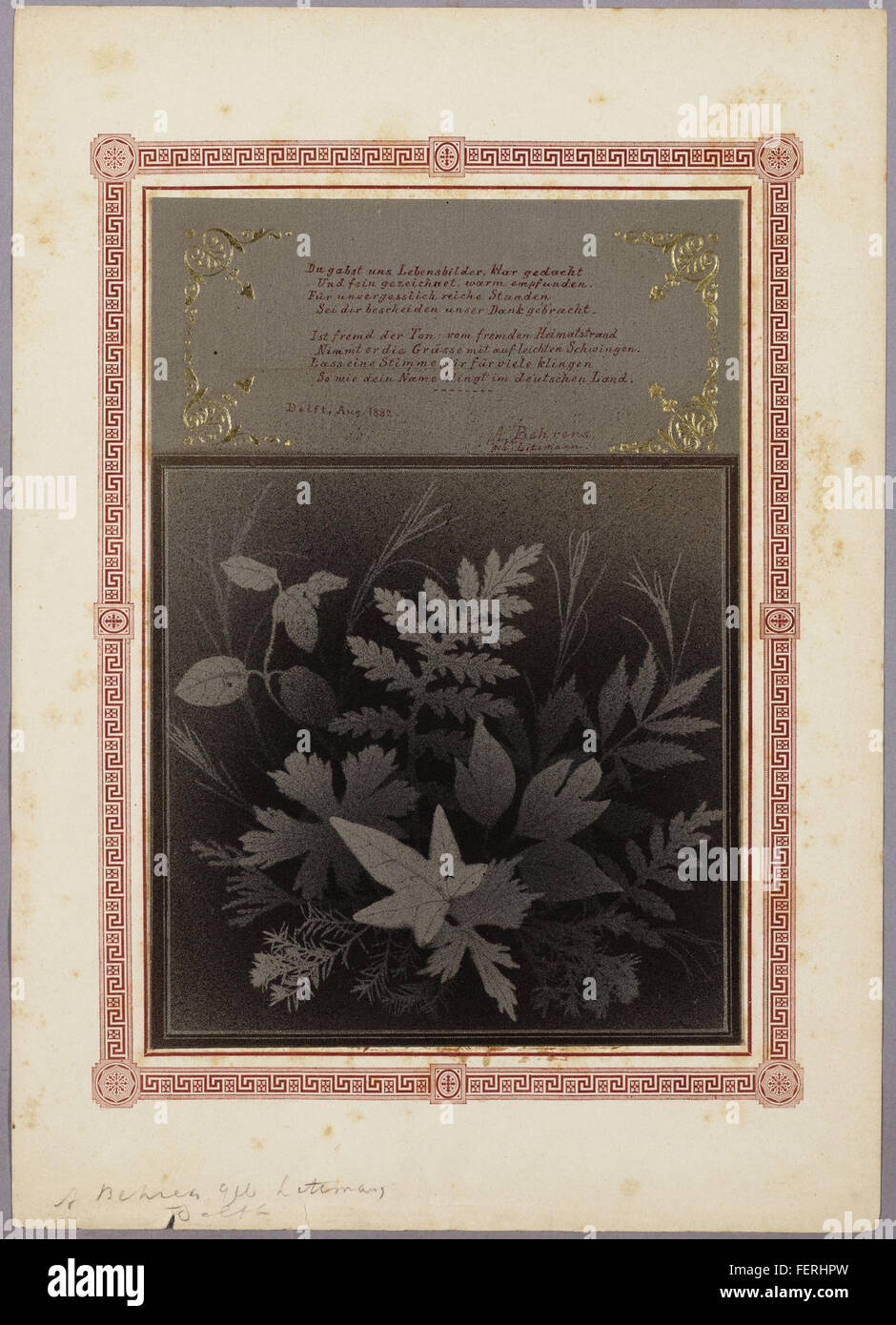 An 'Album Amicorum' is a type of friendship album used by students and ...