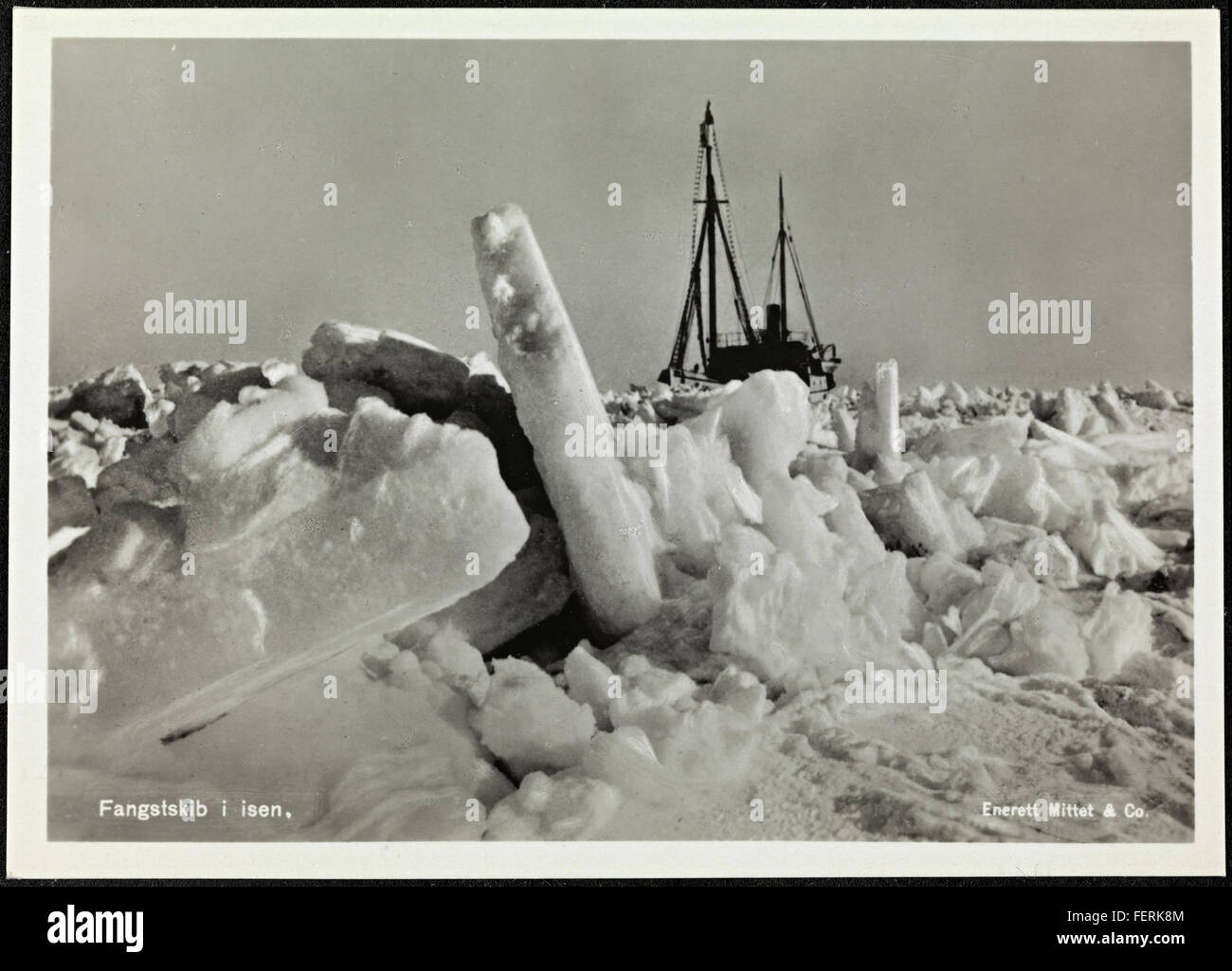 A historic image of a hunting ship, also known as a fangstskib, trapped ...