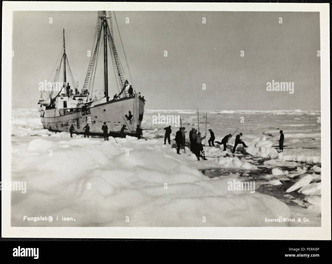 A photograph by Mittet & Co. depicting a hunting ship in the ice ...
