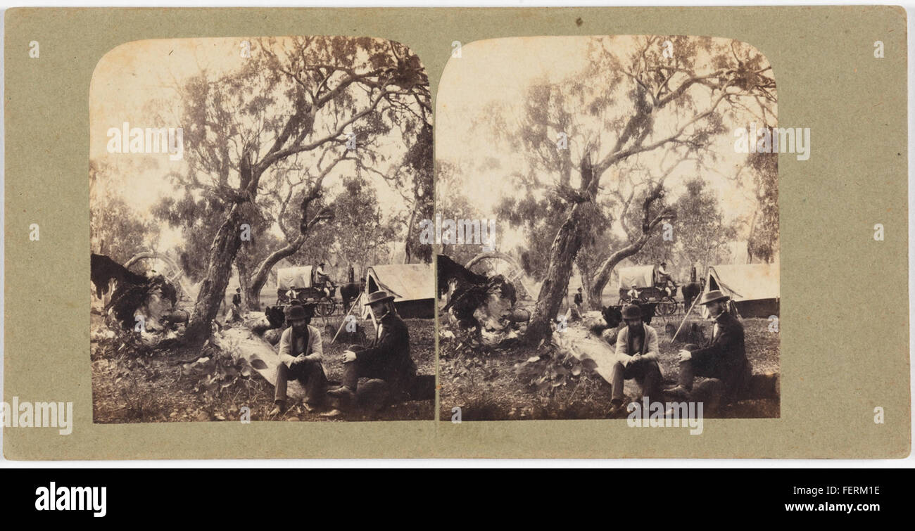 An early photograph of the gold rush era, captured in stereograph ...