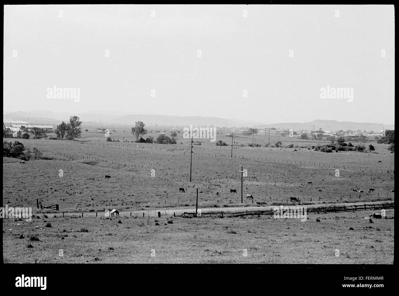 This 1965 photograph captures a view over paddocks, part of the Freedom ...
