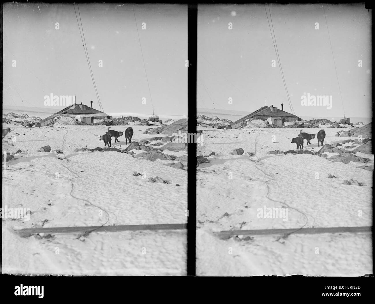 A stereograph image from an Antarctic expedition, likely capturing ...