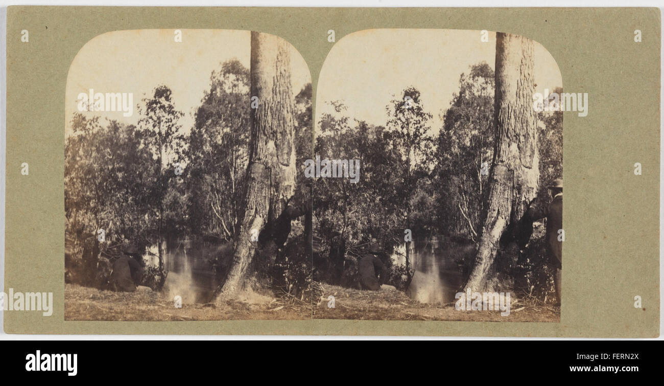 A stereograph of early photography, depicting a scene from the Gold ...