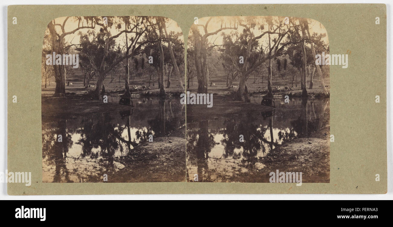 The stereograph 'a9600010h' from the Gold Rush era showcases early ...