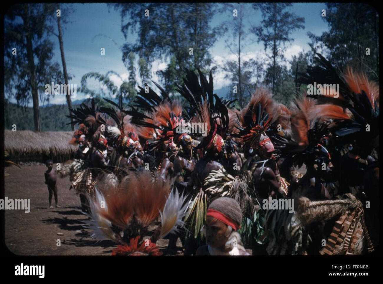 The image captures men of the Tengerap Clan performing the singsing in ...