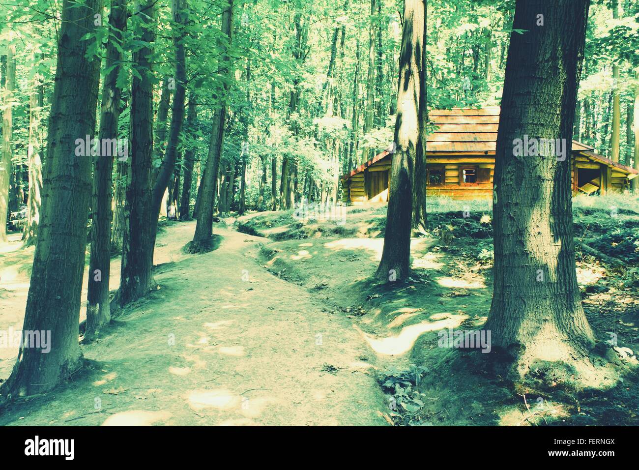 Cottage and tree hi-res stock photography and images - Alamy