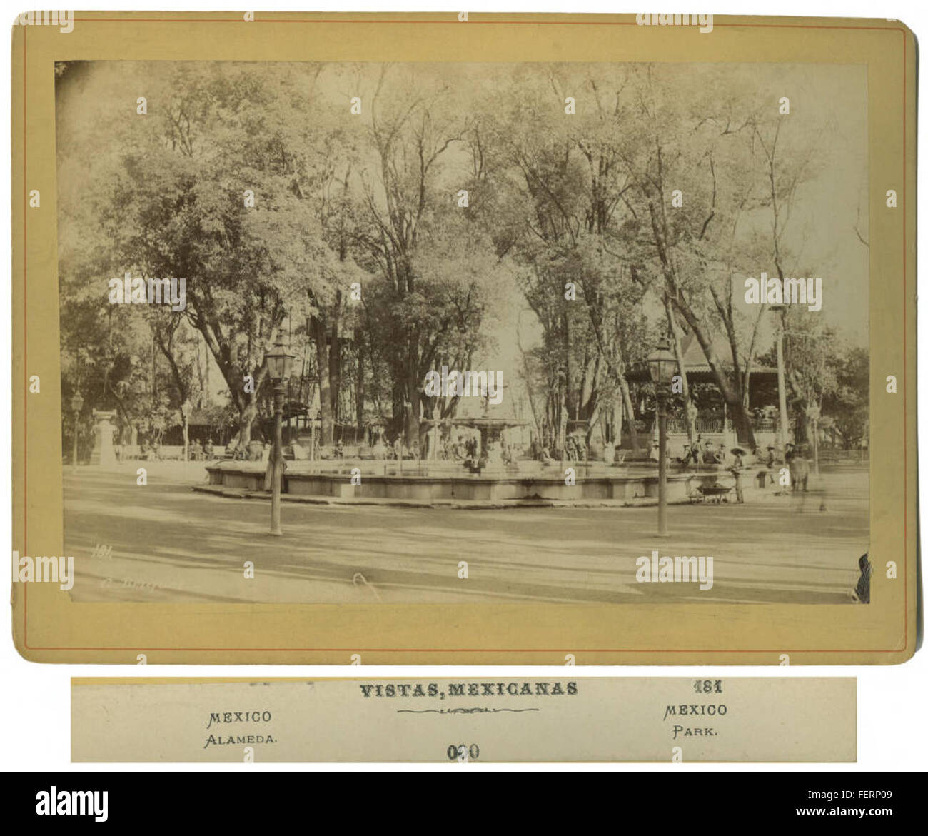 Alameda in Mexico, featuring a public park with tree-lined paths and ...