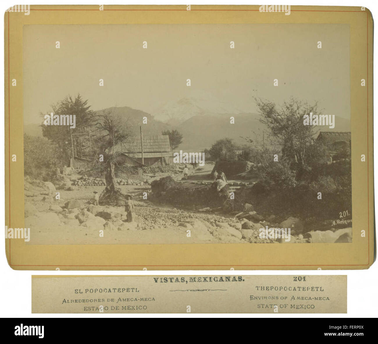 Ameca hi-res stock photography and images - Alamy