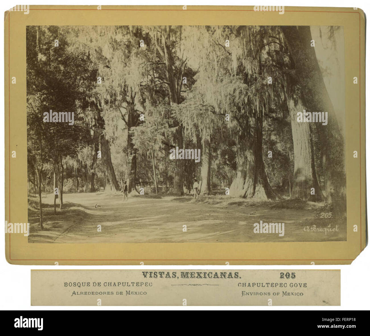 Chapultepec park attractions hi-res stock photography and images - Alamy